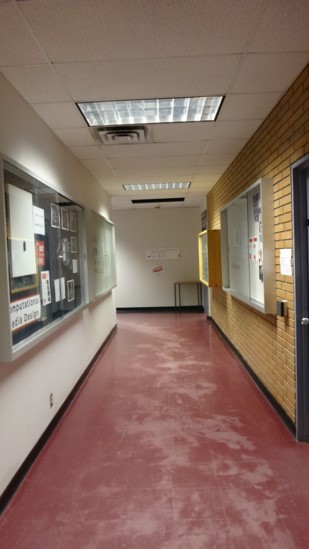 CPSC 203 help: Continous Tutorial (CT)